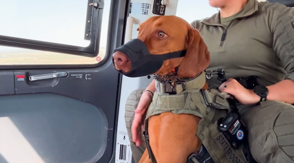 Inside the Texas DPS K-9 program: Strengthening border security and ...