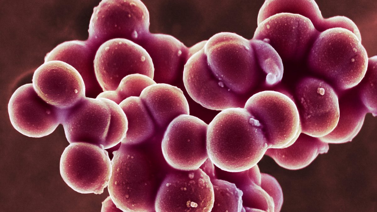 Tsunami Preparedness: Lessons Learned from the 2004 Disaster and ...