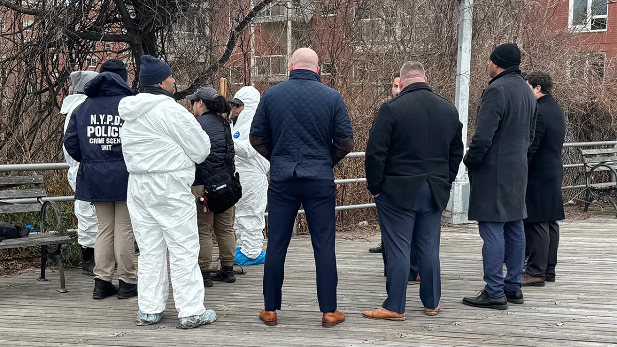 Human skull, other remains found in bushes by Brooklyn's Coney Island ...