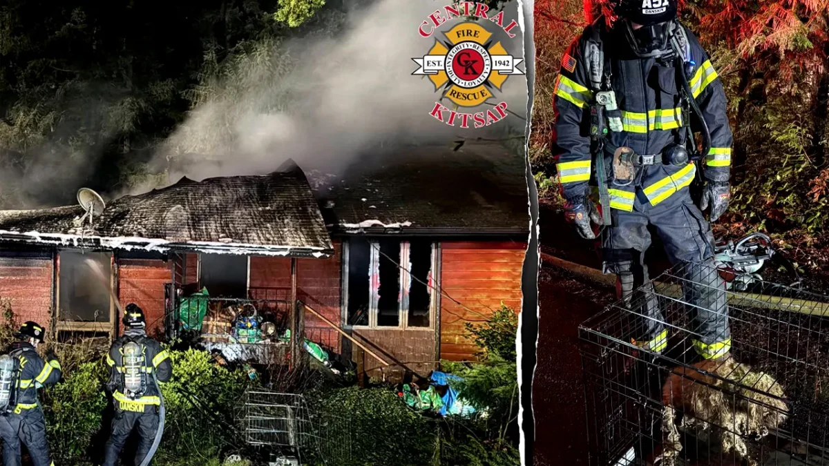 Dozens of dogs killed in fire at home of ‘breeder’ in Washington state ...